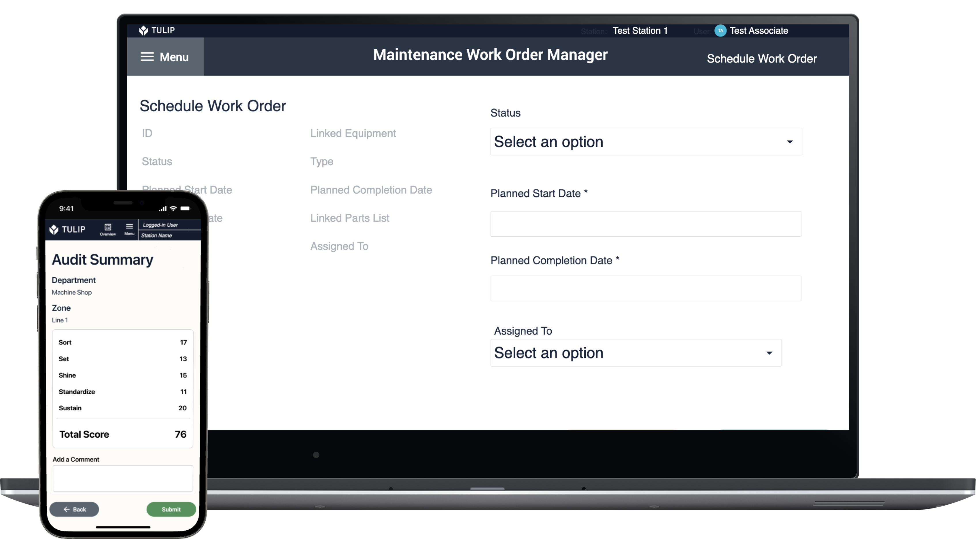 Download Tulip Player